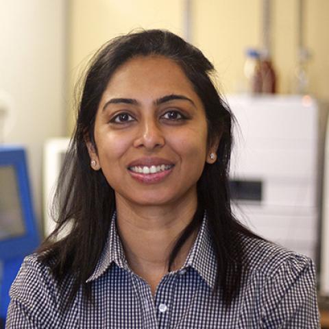 Neuroscience at the University of Chicago